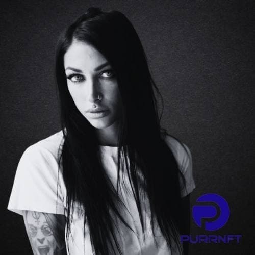 PurrNFT | ICO Hot List